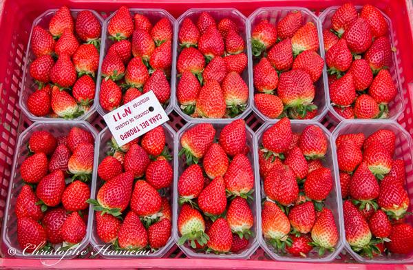 La fraise de grande surface | Culturesco